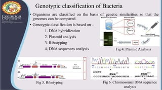 220705180056 bacterial classification.pptx | Biological Sciences | Science