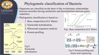 220705180056 bacterial classification.pptx | Biological Sciences | Science