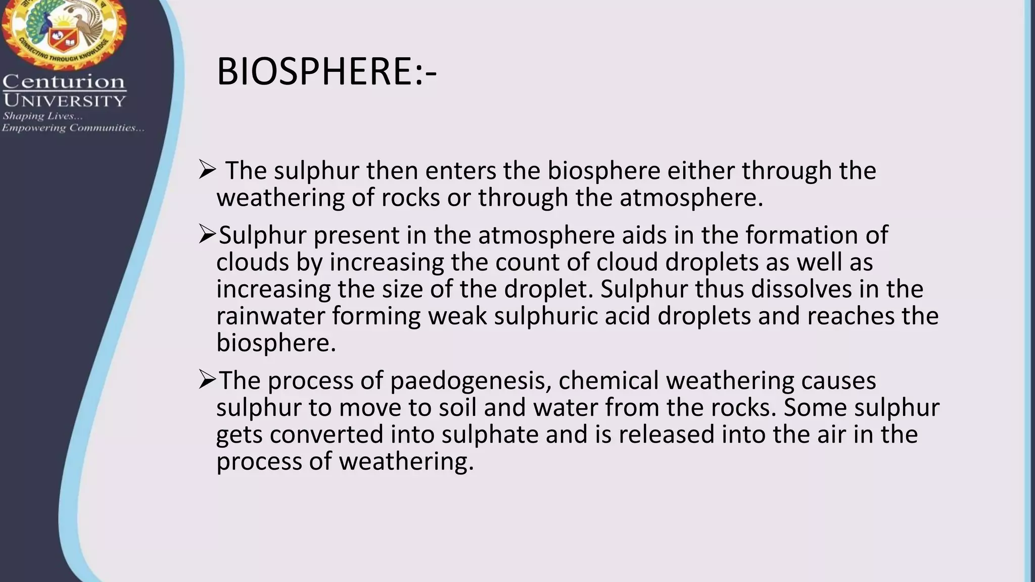 220705180070,71sulphur cycle.pptx