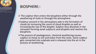 220705180070,71sulphur cycle.pptx | Free download