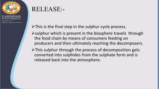 220705180070,71sulphur cycle.pptx
