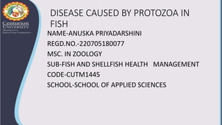 220705180077protozoan disease in fish.pptx | Biological Sciences | Science