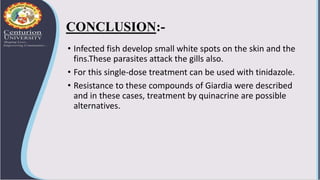 220705180077protozoan disease in fish.pptx | Biological Sciences | Science