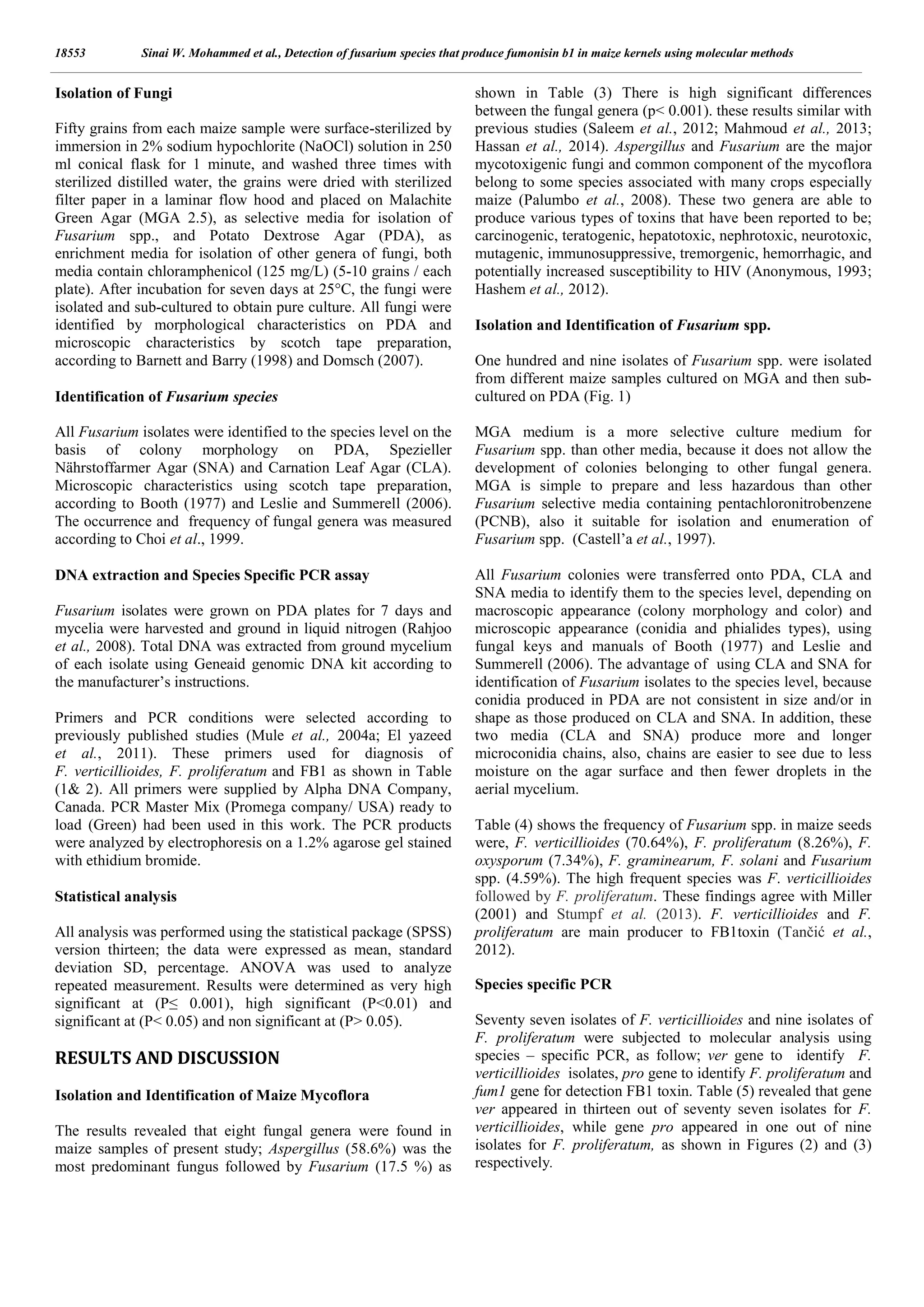 DETECTION OF FUSARIUM SPECIES THAT PRODUCE FUMONISIN B1 IN MAIZE KERNELS USING | PDF