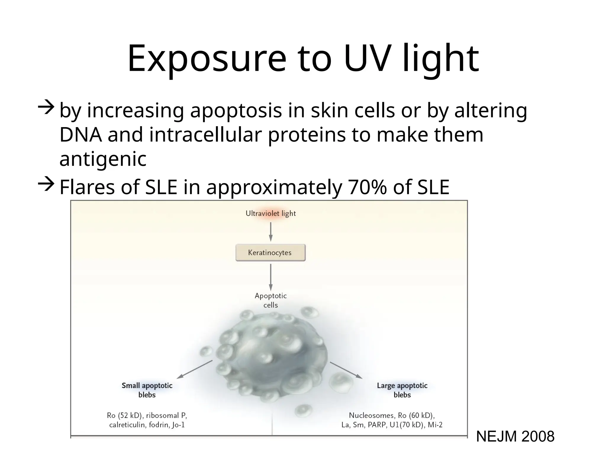 About Systemic Lupus Erythematosus (SLE) | PPTX