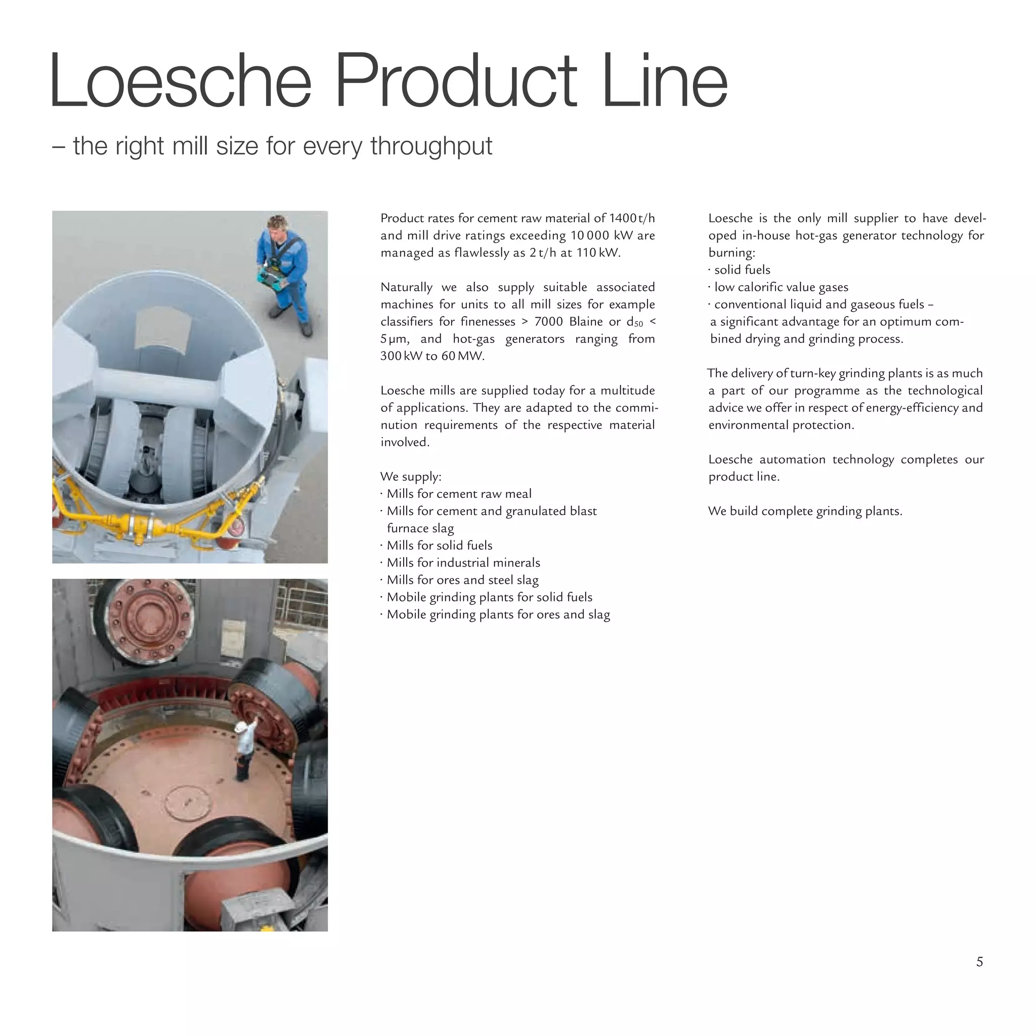 LOESCHE: OVERVIEW | PDF