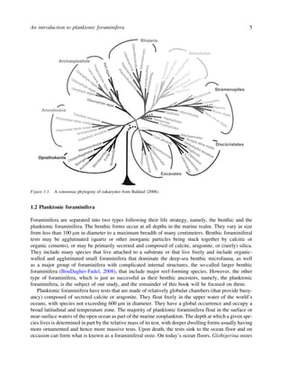 Biostratigraphic And Geological Significance Of Planktonic Foraminifera ...