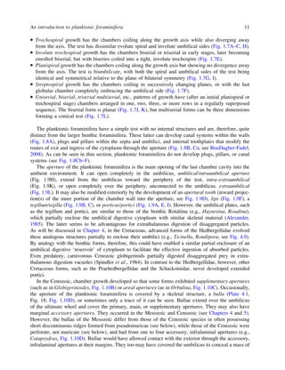 Biostratigraphic And Geological Significance Of Planktonic Foraminifera ...