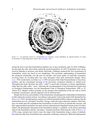 Biostratigraphic And Geological Significance Of Planktonic Foraminifera ...