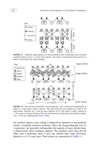 Formation And Properties Of Claypolymer Complexes Bkg Theng Eds | PDF