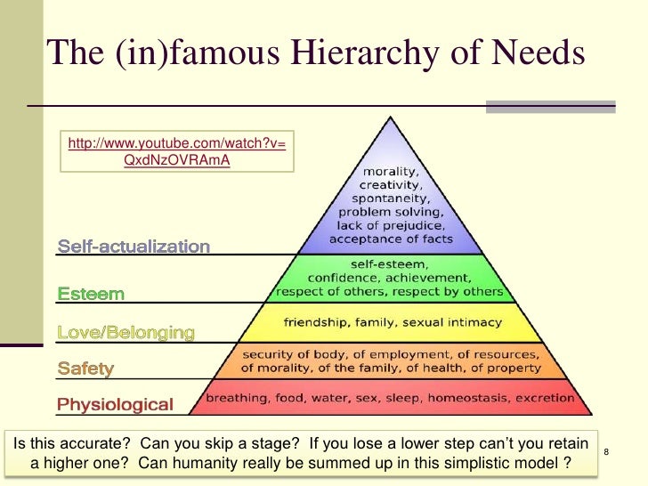 Pavlov hierarchy of needs - insightnipod