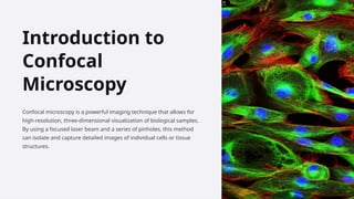 confocal microscopy cell image segm.pptx