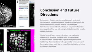 confocal microscopy cell image segm.pptx