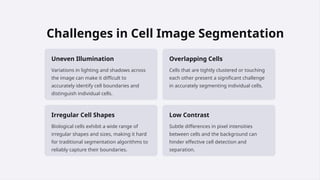 confocal microscopy cell image segm.pptx
