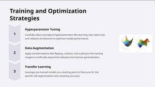 confocal microscopy cell image segm.pptx