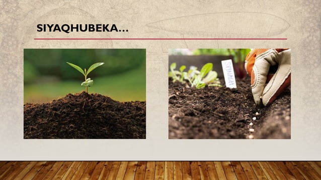 Izimo zokukhuluma izaga nezisho ngaphansi kwekhono lolimi {Izakhiwo ...