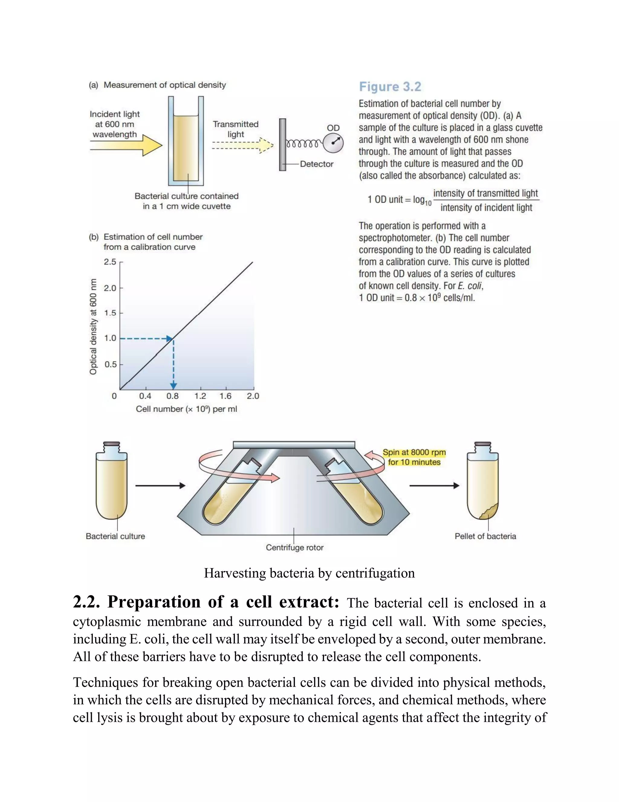 preparation of genomic DNA from bacteria.pdf