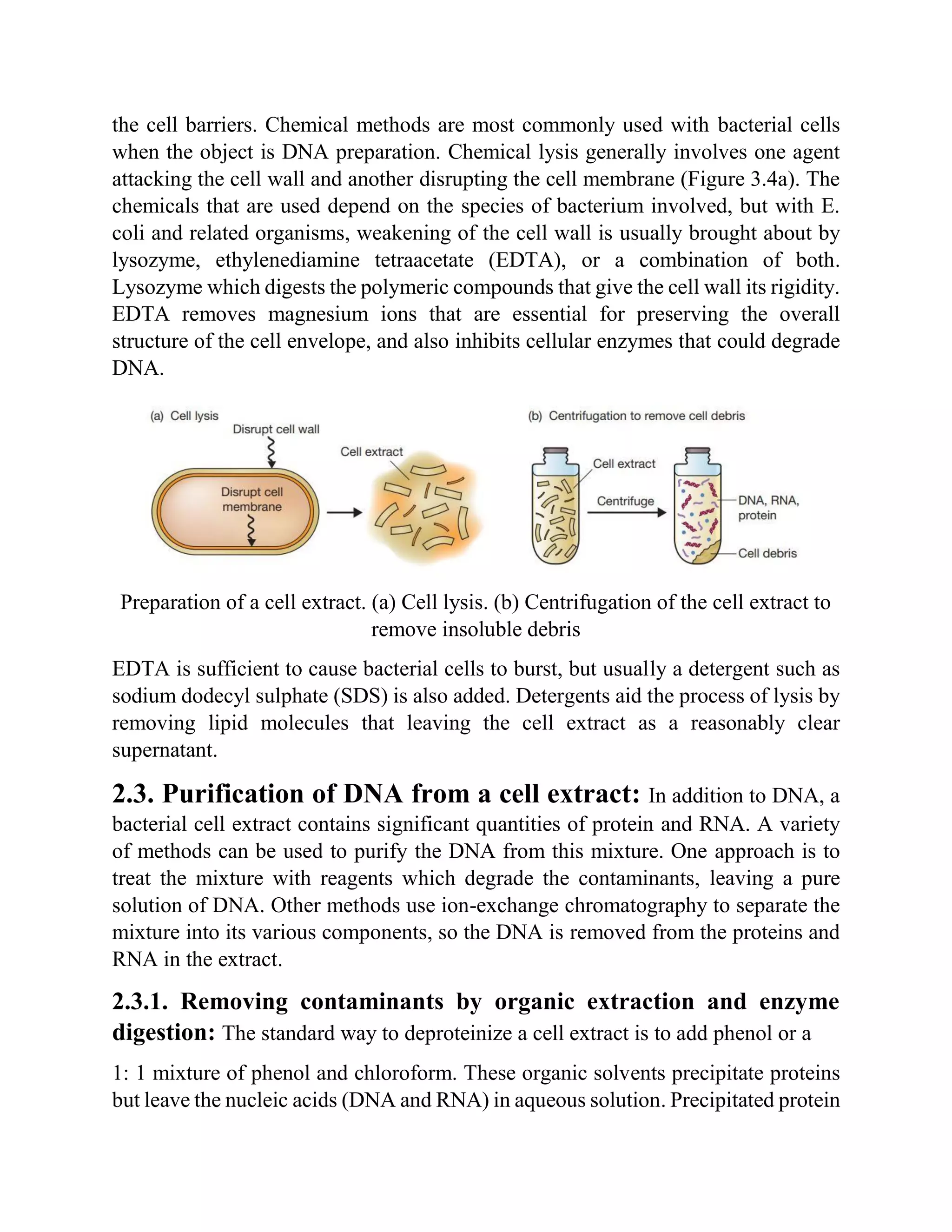 preparation of genomic DNA from bacteria.pdf