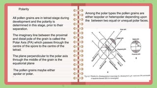 Identification and comparison of pollen grain Forensic Biology. .pptx