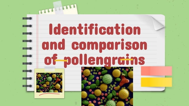 Identification and comparison of pollen grain Forensic Biology. .pptx ...