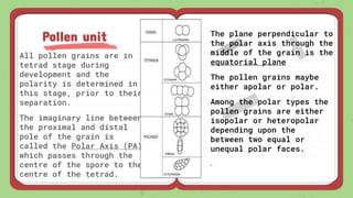 Identification and comparison of pollen grain Forensic Biology. .pptx