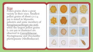 Identification and comparison of pollen grain Forensic Biology. .pptx