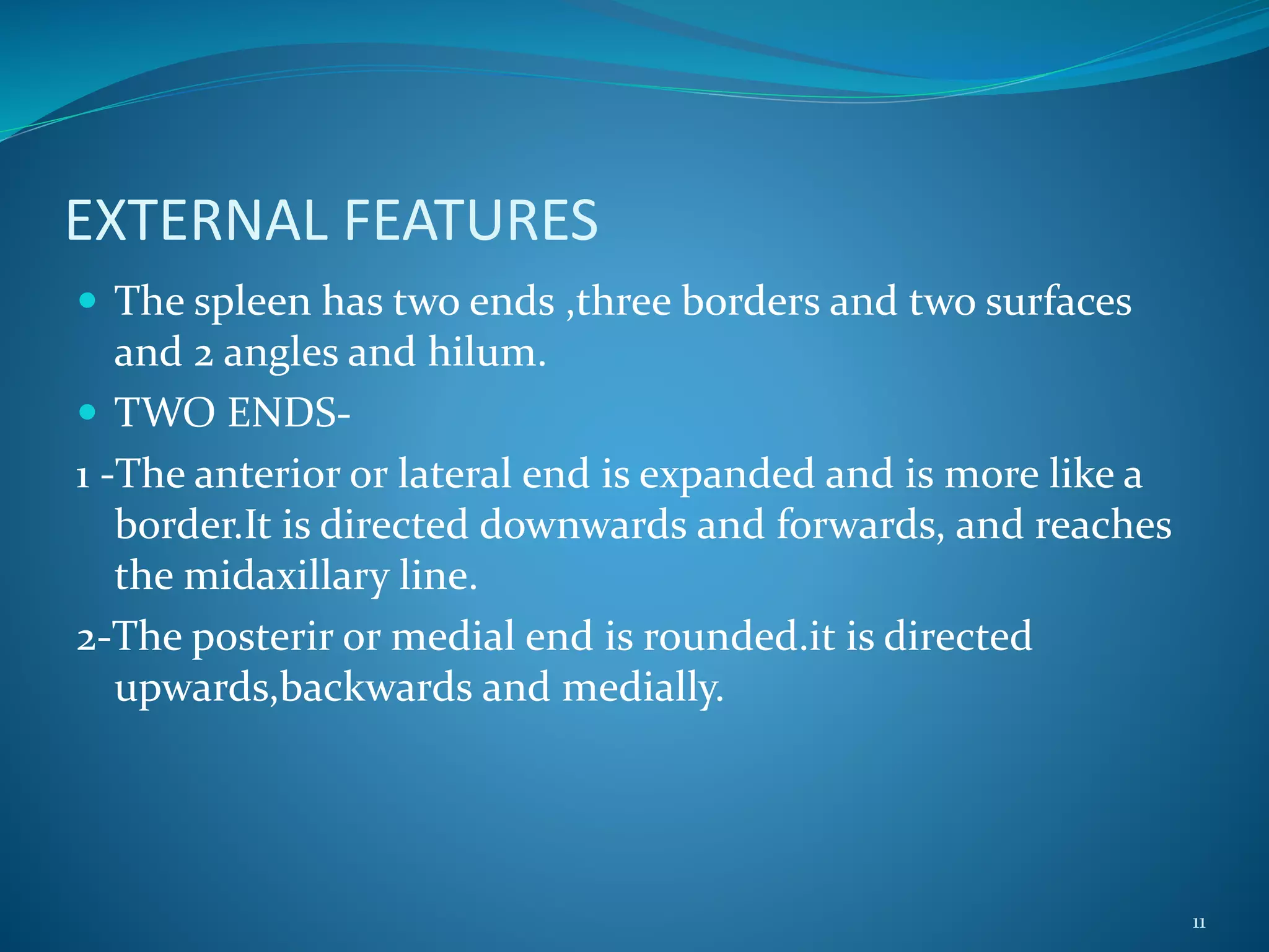ANATOMY OF SPLEEN AND IT'S APPLIED ASPECT | PPTX
