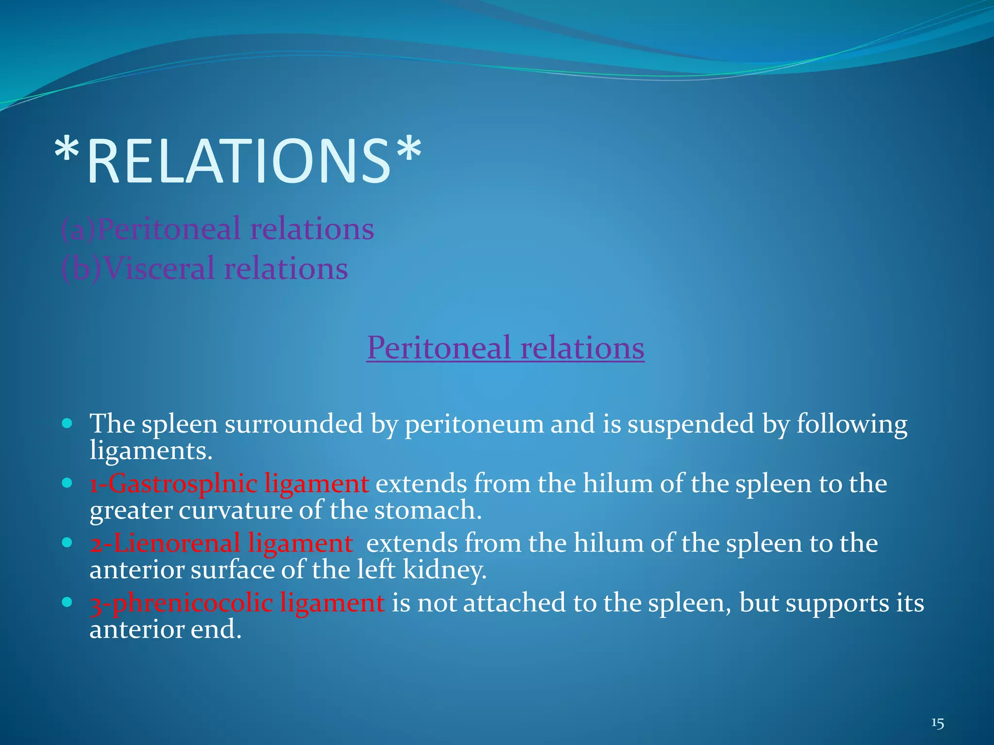 ANATOMY OF SPLEEN AND IT'S APPLIED ASPECT | PPTX