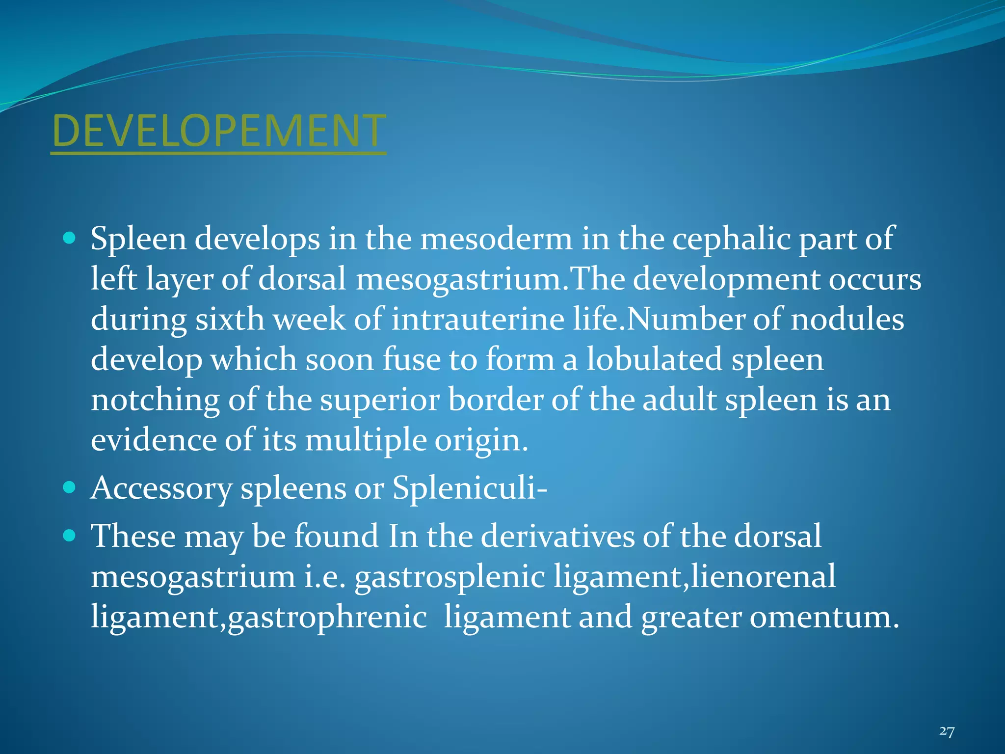 ANATOMY OF SPLEEN AND IT'S APPLIED ASPECT | PPTX