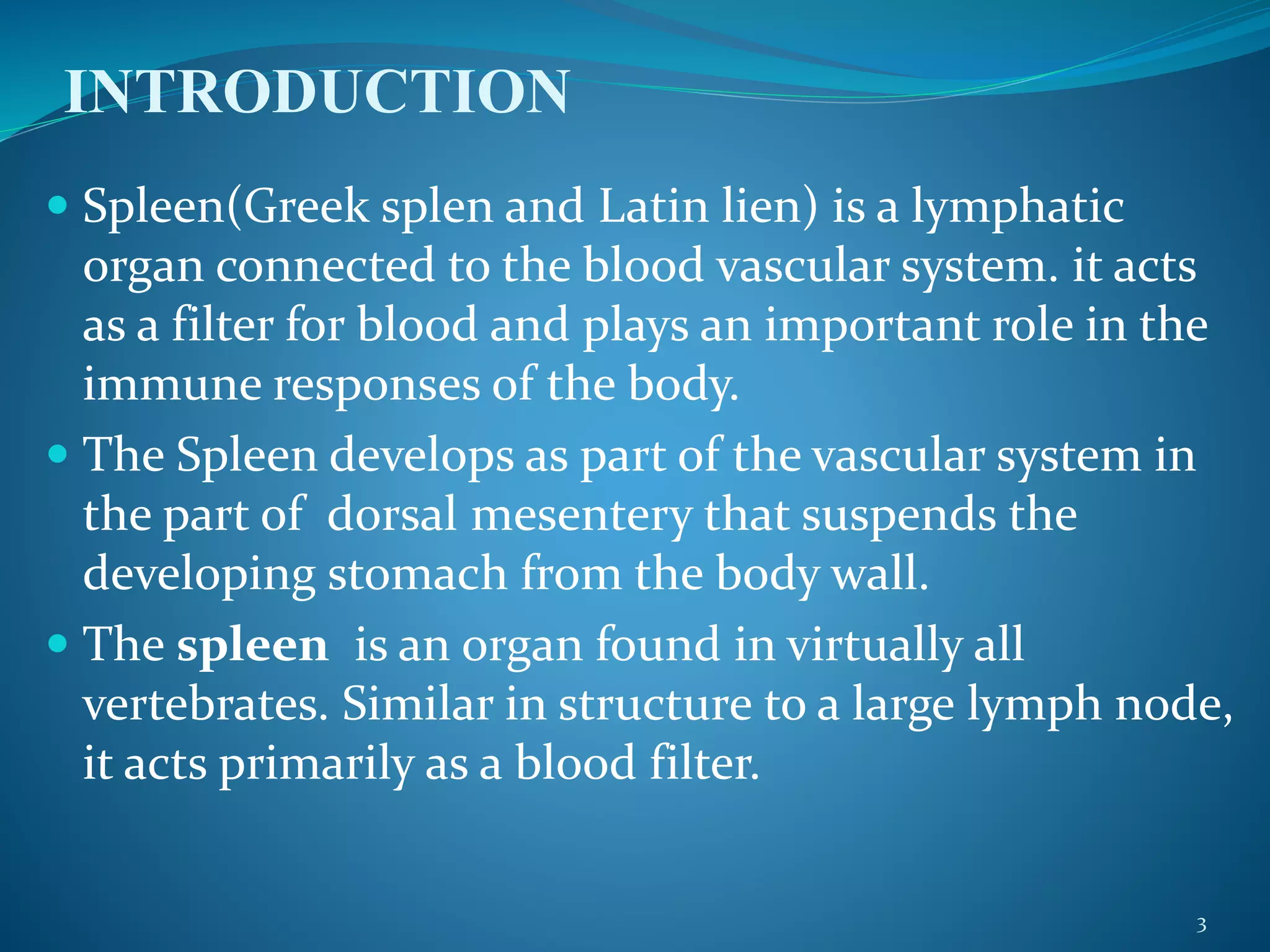 ANATOMY OF SPLEEN AND IT'S APPLIED ASPECT | PPTX