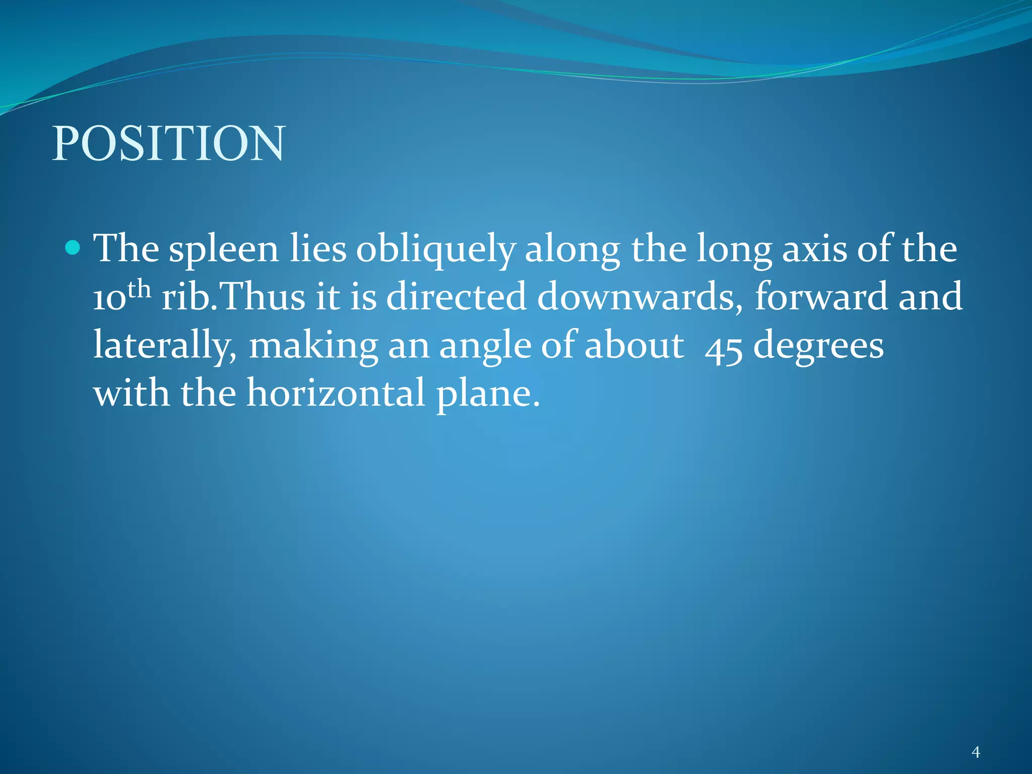 ANATOMY OF SPLEEN AND IT'S APPLIED ASPECT | PPTX