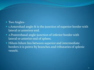 ANATOMY OF SPLEEN AND IT'S APPLIED ASPECT | PPTX
