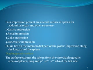 ANATOMY OF SPLEEN AND IT'S APPLIED ASPECT | PPTX