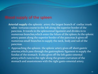 ANATOMY OF SPLEEN AND IT'S APPLIED ASPECT | PPTX