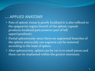 ANATOMY OF SPLEEN AND IT'S APPLIED ASPECT | PPTX