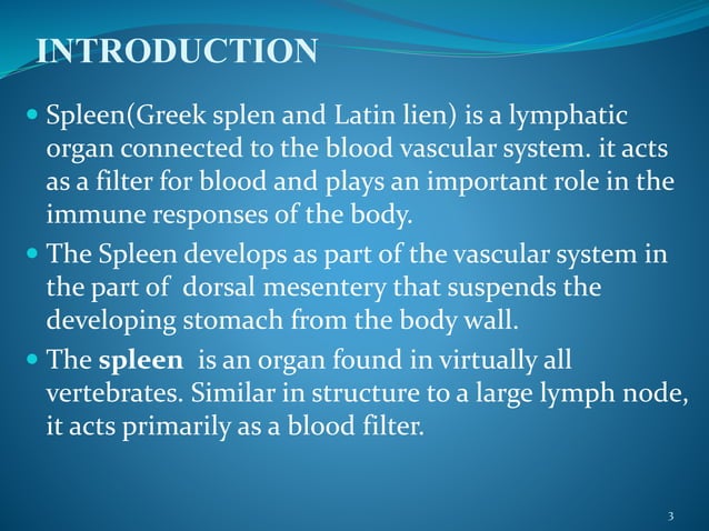 ANATOMY OF SPLEEN AND IT'S APPLIED ASPECT | PPTX