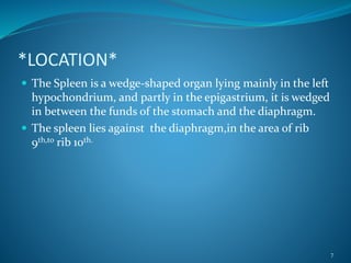 ANATOMY OF SPLEEN AND IT'S APPLIED ASPECT | PPTX