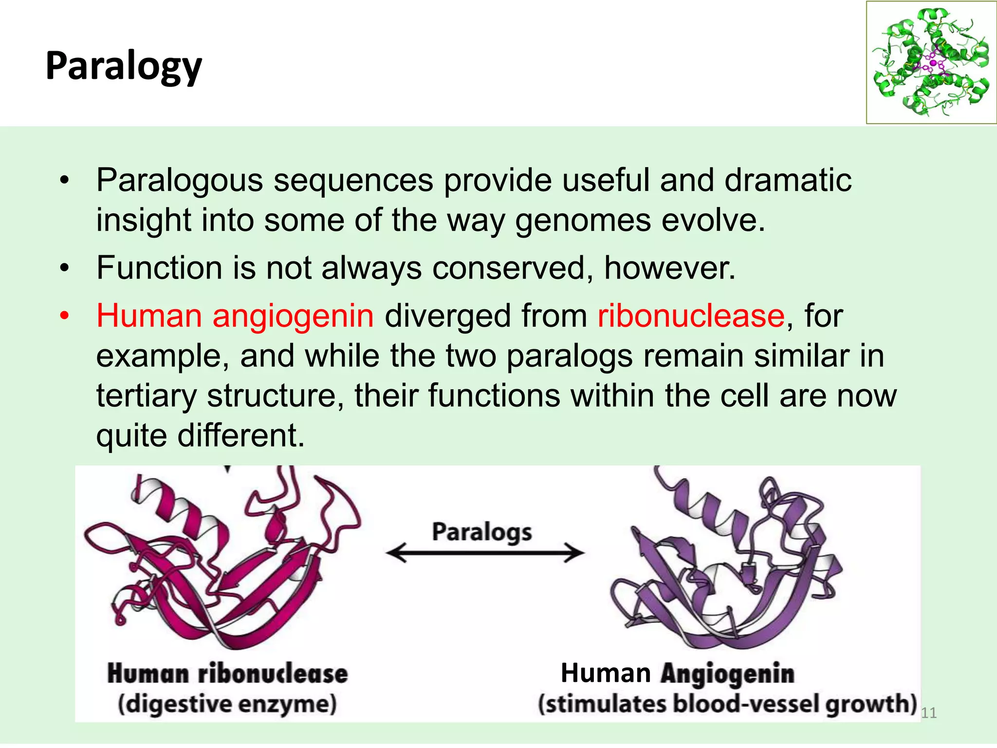 222397 lecture 16 17 | PPTX