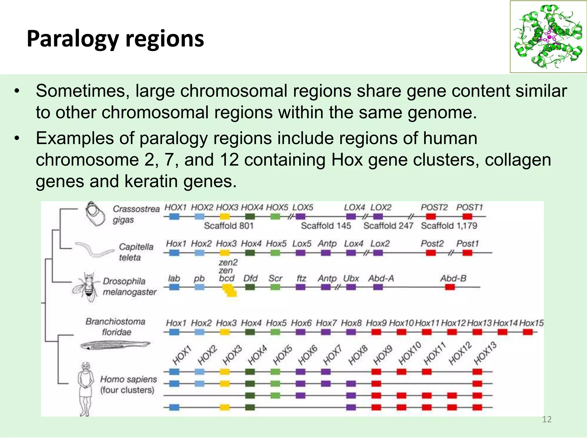 222397 lecture 16 17 | PPTX
