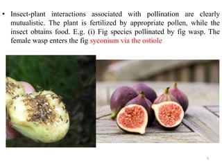 Tropism in insects & insect communication | PPT