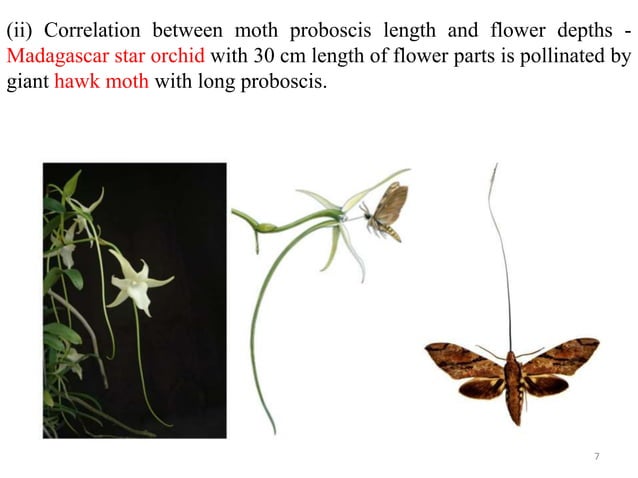 Tropism in insects & insect communication | PPT