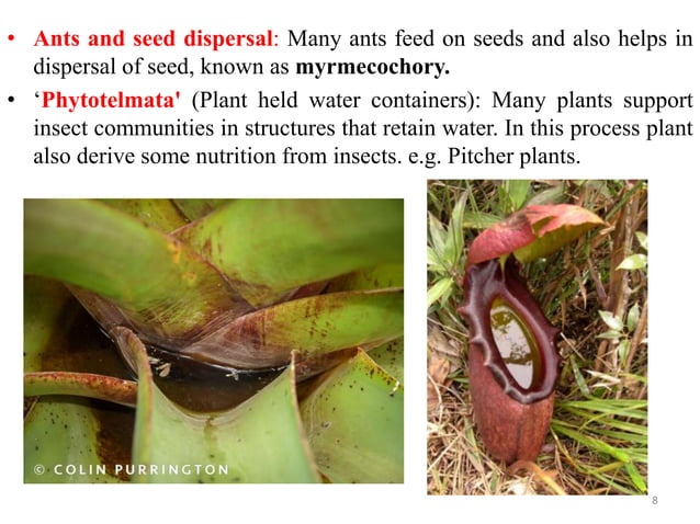 Tropism in insects & insect communication | PPT