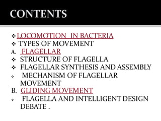 2223_Unit 1 Locomotion in bacteria.pptx