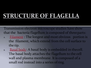 2223_Unit 1 Locomotion in bacteria.pptx