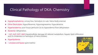 Diabetic Crises | PPT