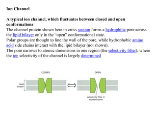 2227_Unit 1Transport accross membrane (7).pptx
