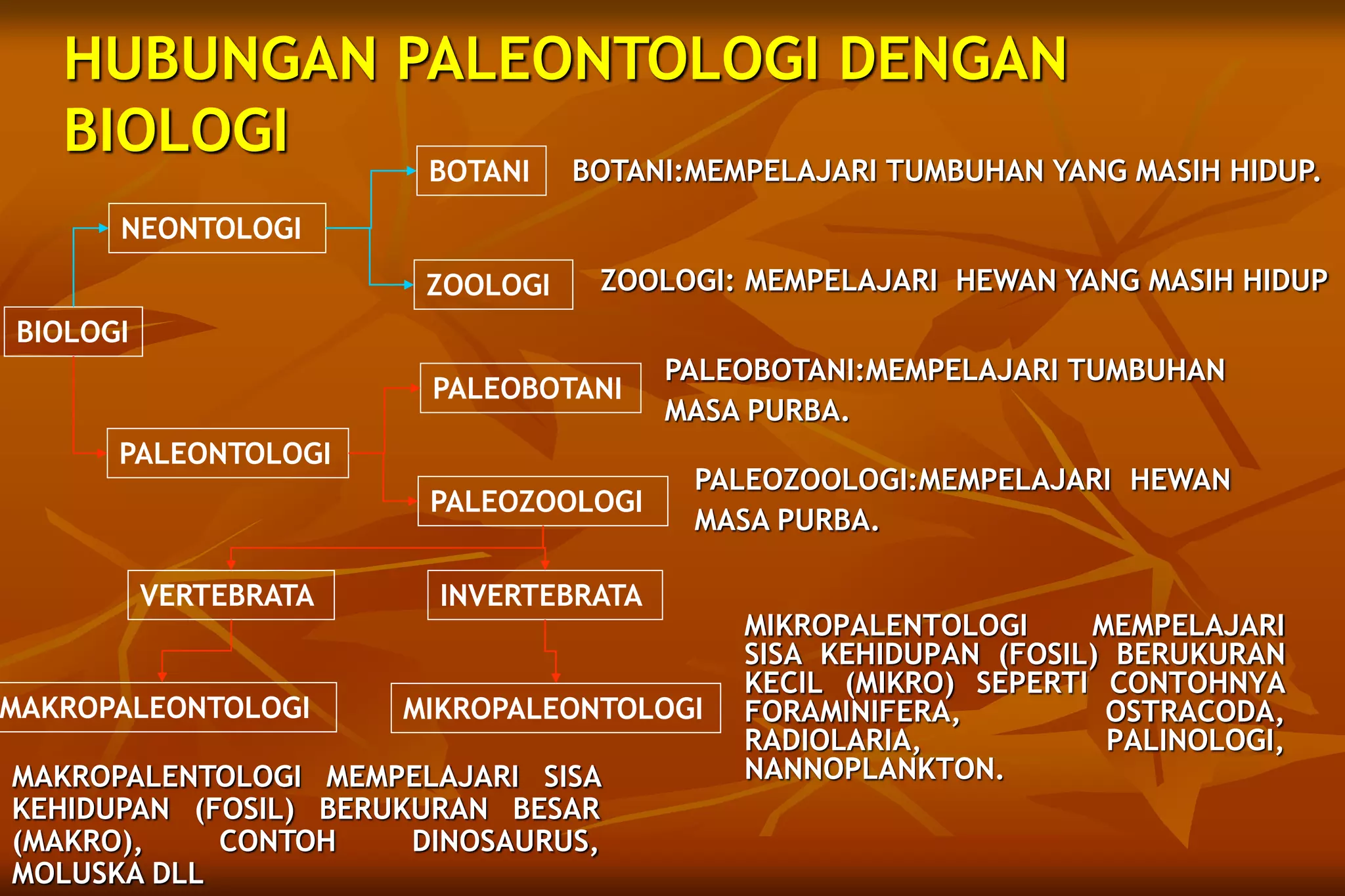 22303_PALEONTOLOGI_I_ppt.ppt