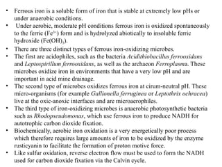 Unit 3 Chemoautotropy agricultural microbiology.pptx