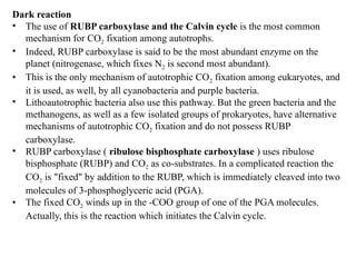 2234_Unit 3 Photoautotrophy in bacteria.pptx