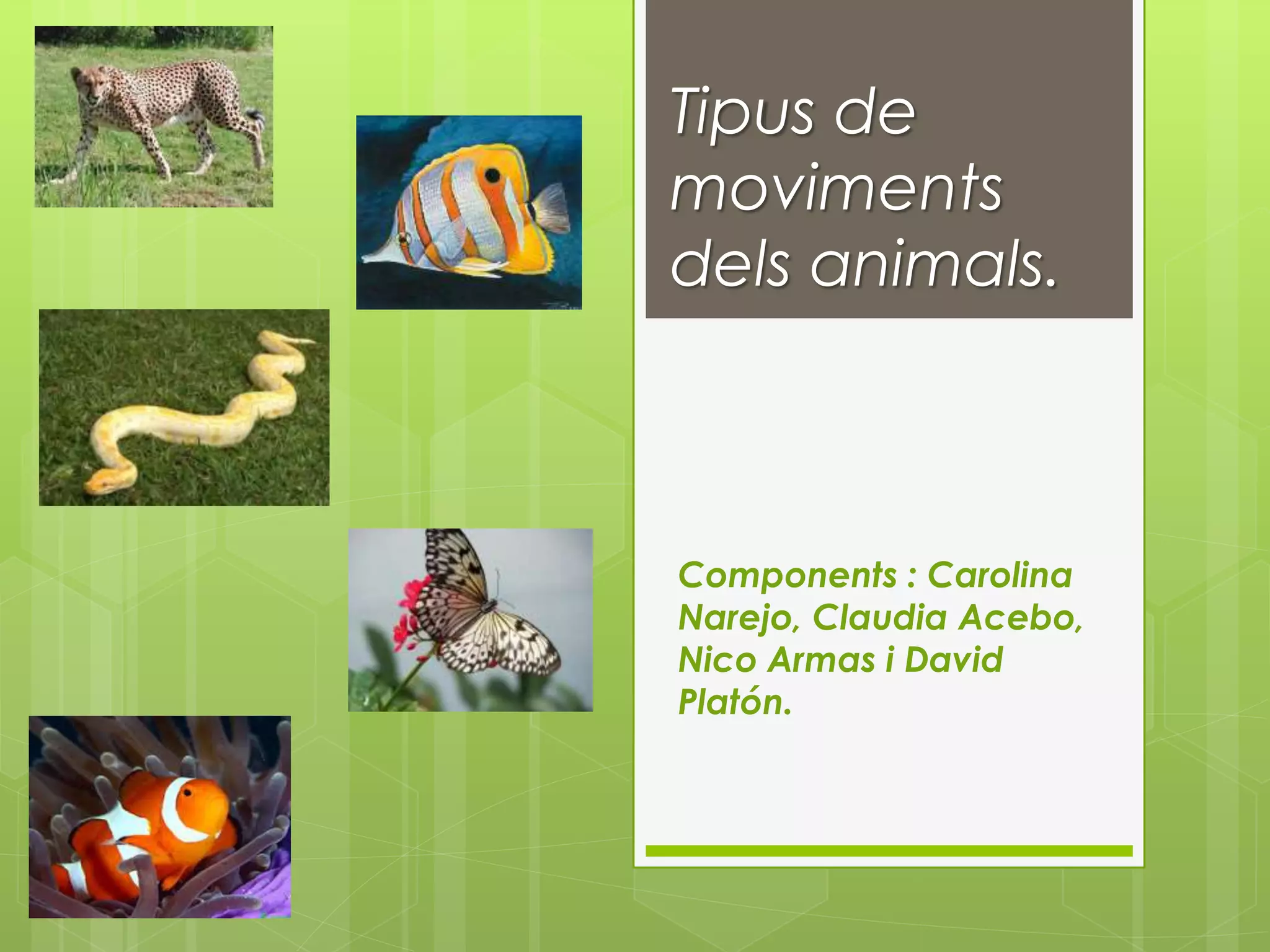 2237 moviments dels_animals_20140528 | PPTX